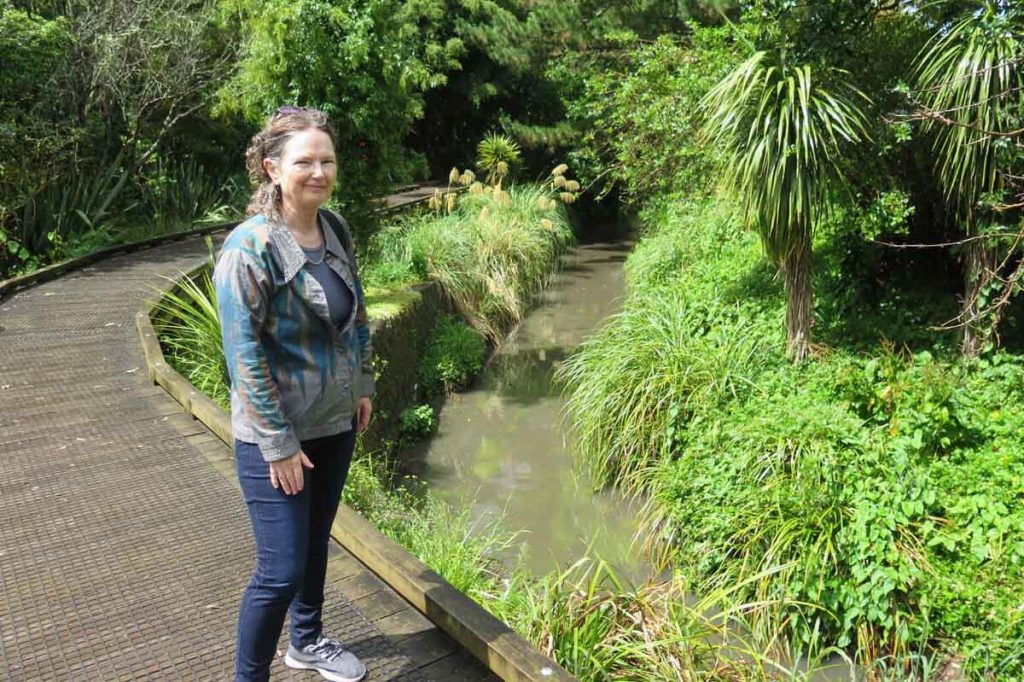 Meola Creek in Mt Albert is a highway of stormwater poisons
